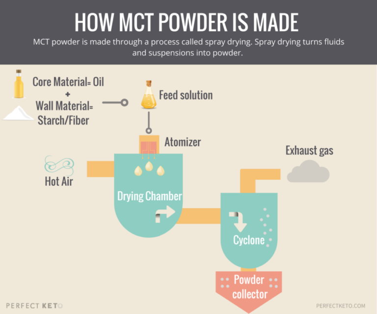 MCT Oil Vs Powder: What You Need to Know (And How to Choose)